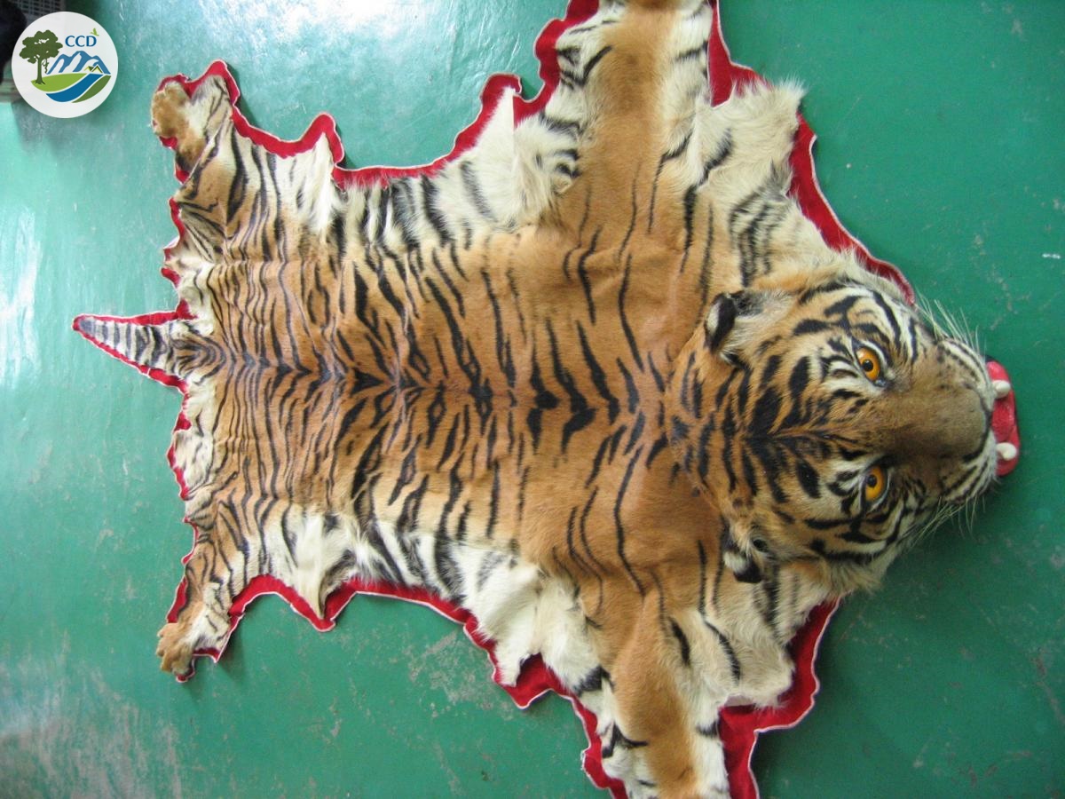 Tiger Trade